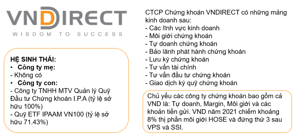 Tổng quan CTCP Chứng khoán VNDirect (VND) 2021