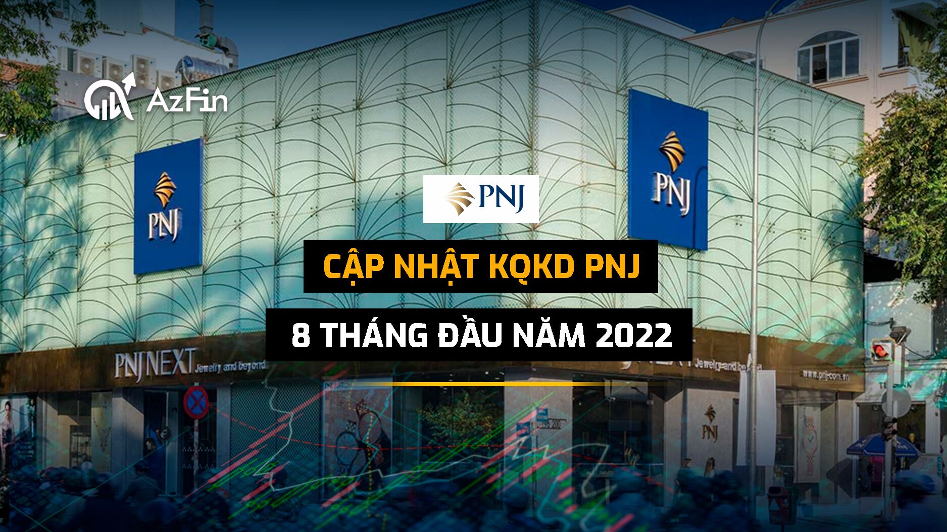 Cập nhật KQKD PNJ 8 tháng đầu năm 2022 - AzFin Việt Nam