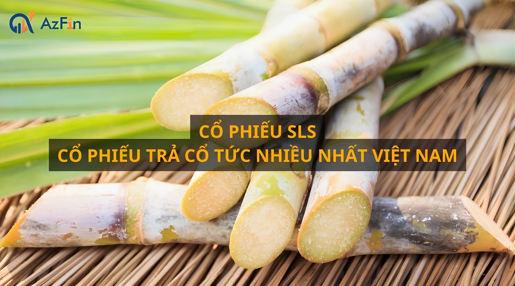 Cổ phiếu SLS - Cổ phiếu trả cổ tức nhiều nhất Việt Nam
